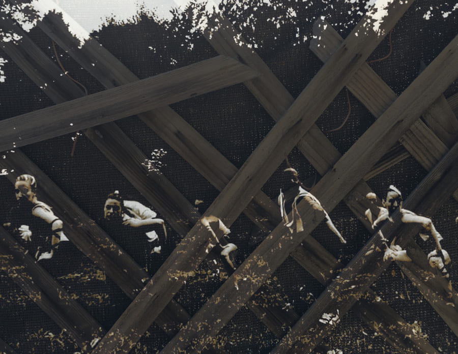 Insurgent Peace - Gail Conrad/Wildscape Innovation Lab